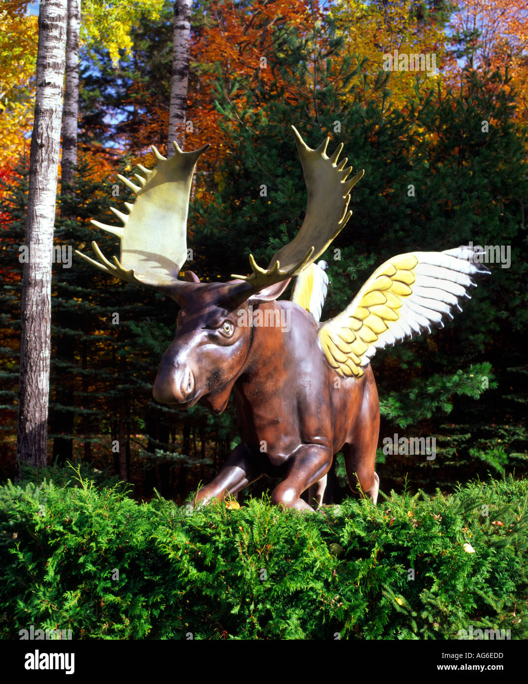 Rockwood maine hi-res stock photography and images - Alamy