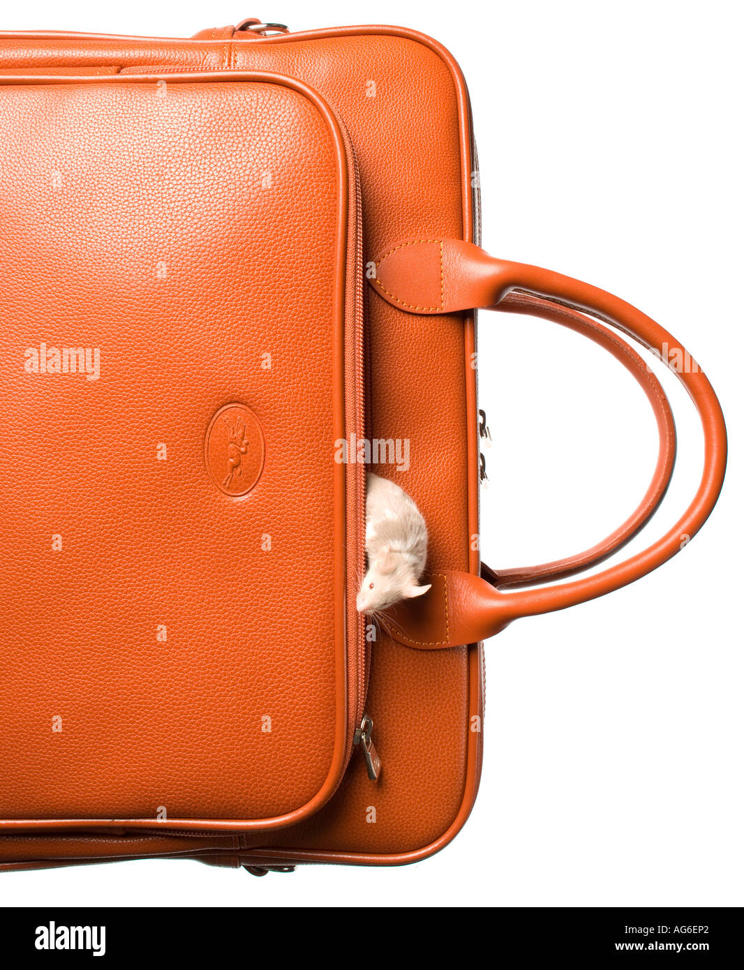 Laptop bag with mouse Stock Photo - Alamy