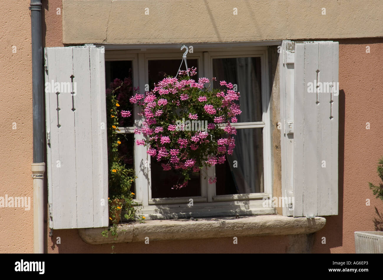 Quintessential french detail of window in french village with pink ...