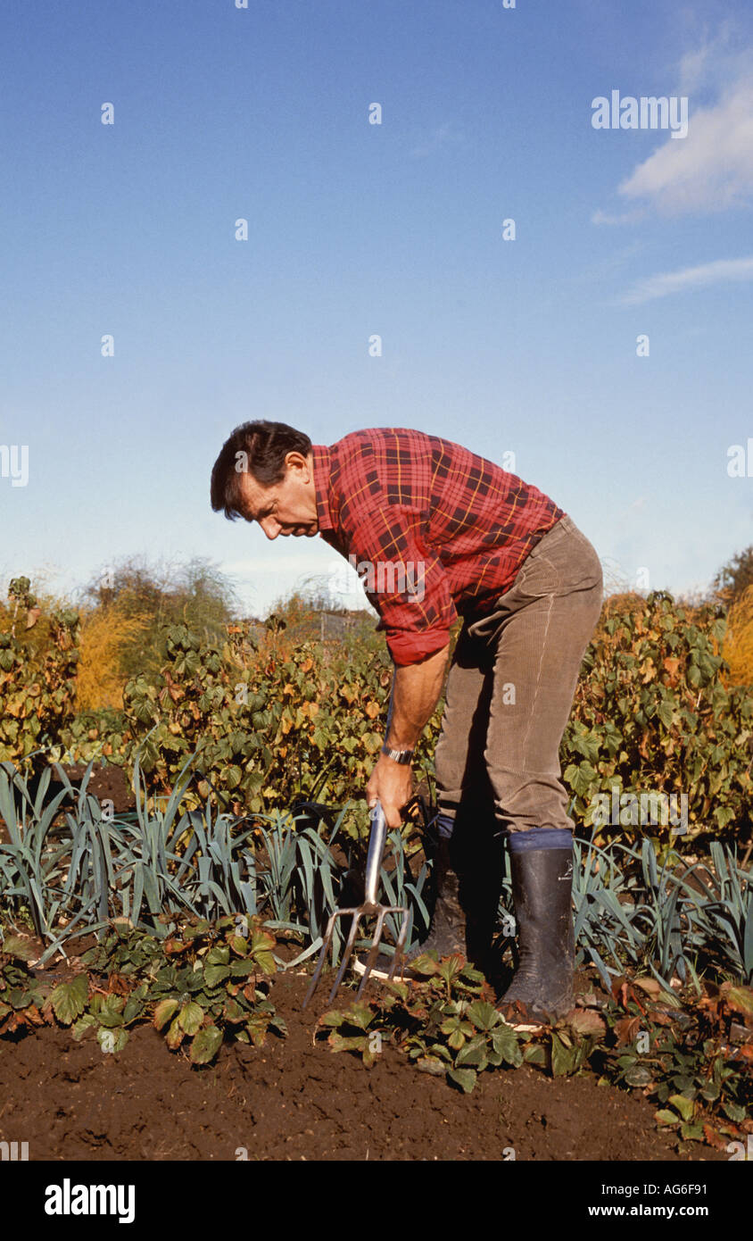 Busy digging hi-res stock photography and images - Alamy