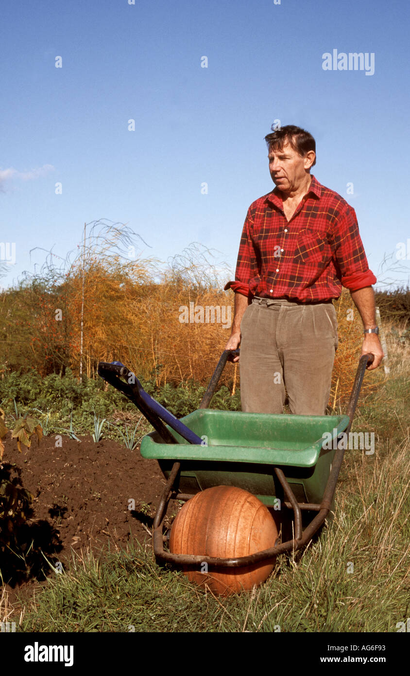 Allotment wheelbarrows hi-res stock photography and images - Alamy