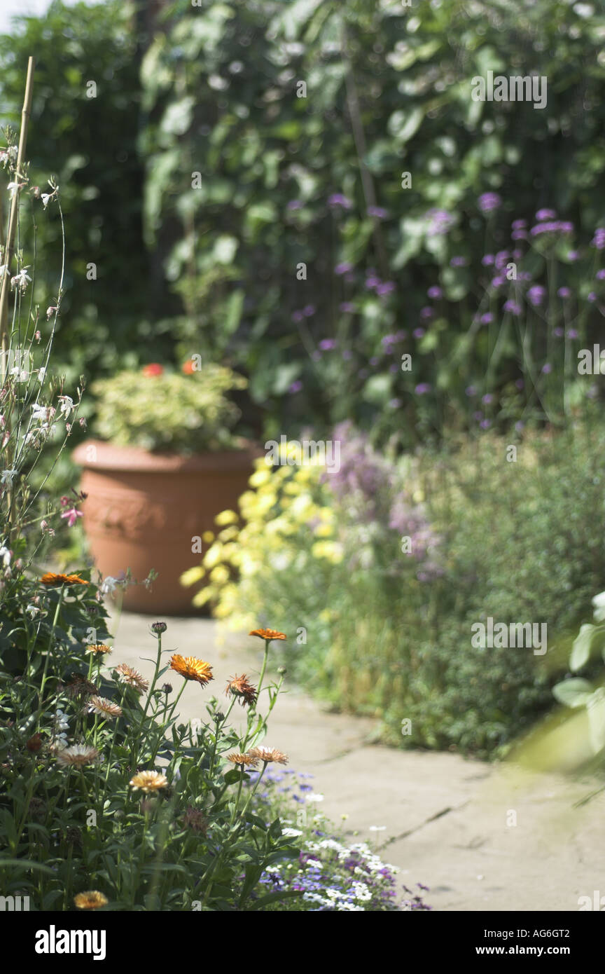Abstract view of summer garden path with flower borders Uk June Stock ...