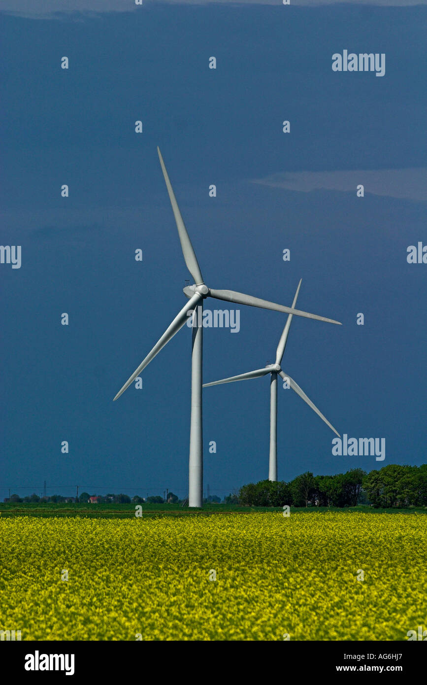 Wind turbines on Fenland, near Ramsey, Peterborough, Cambridgeshire ...