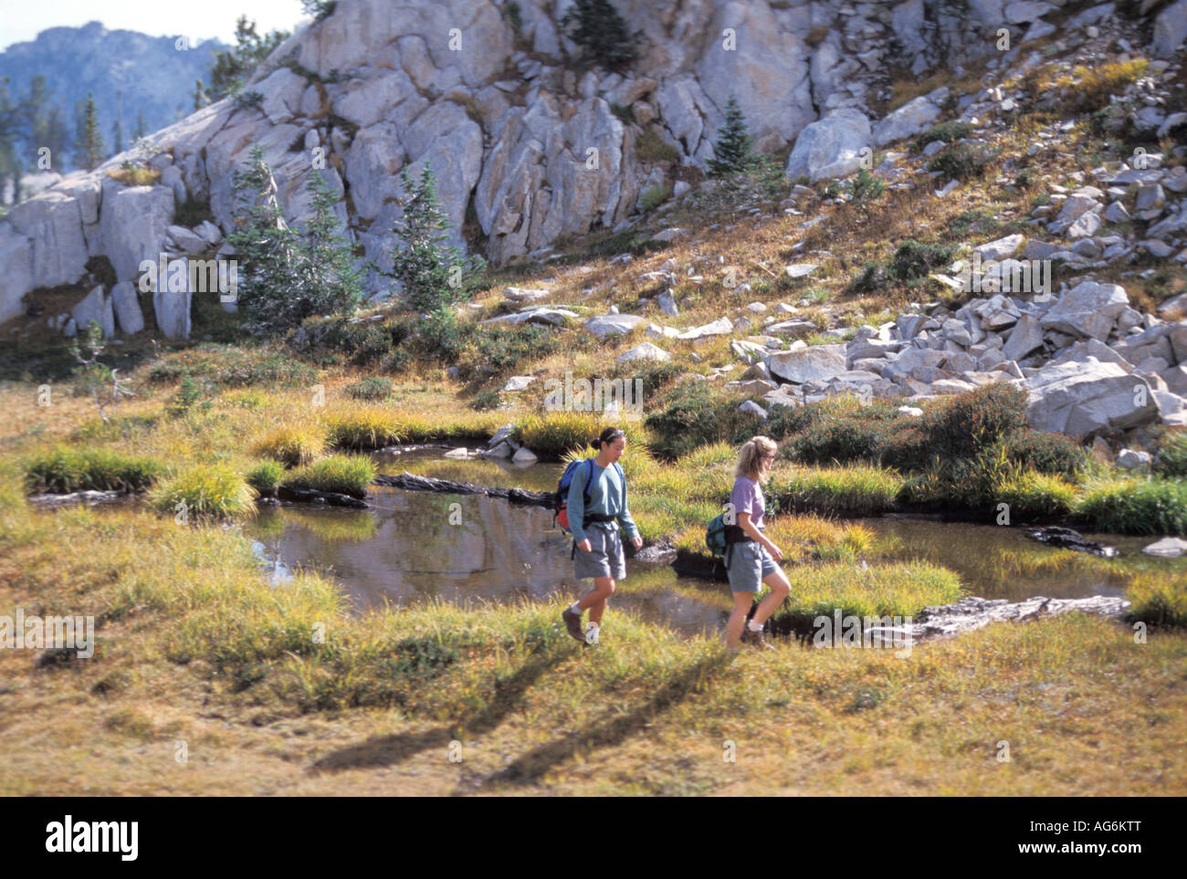 Hikers walking through meadow hi-res stock photography and images - Alamy
