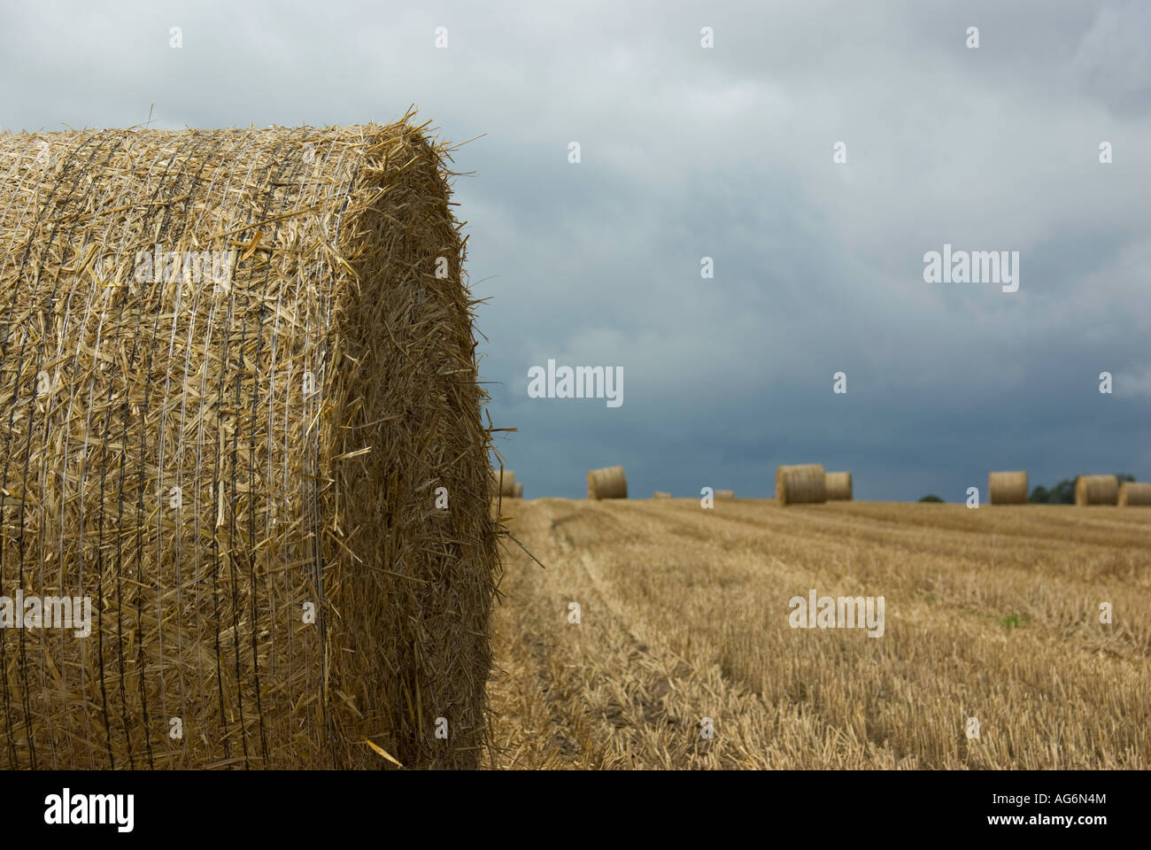 Hay Collection High Resolution Stock Photography and Images - Alamy