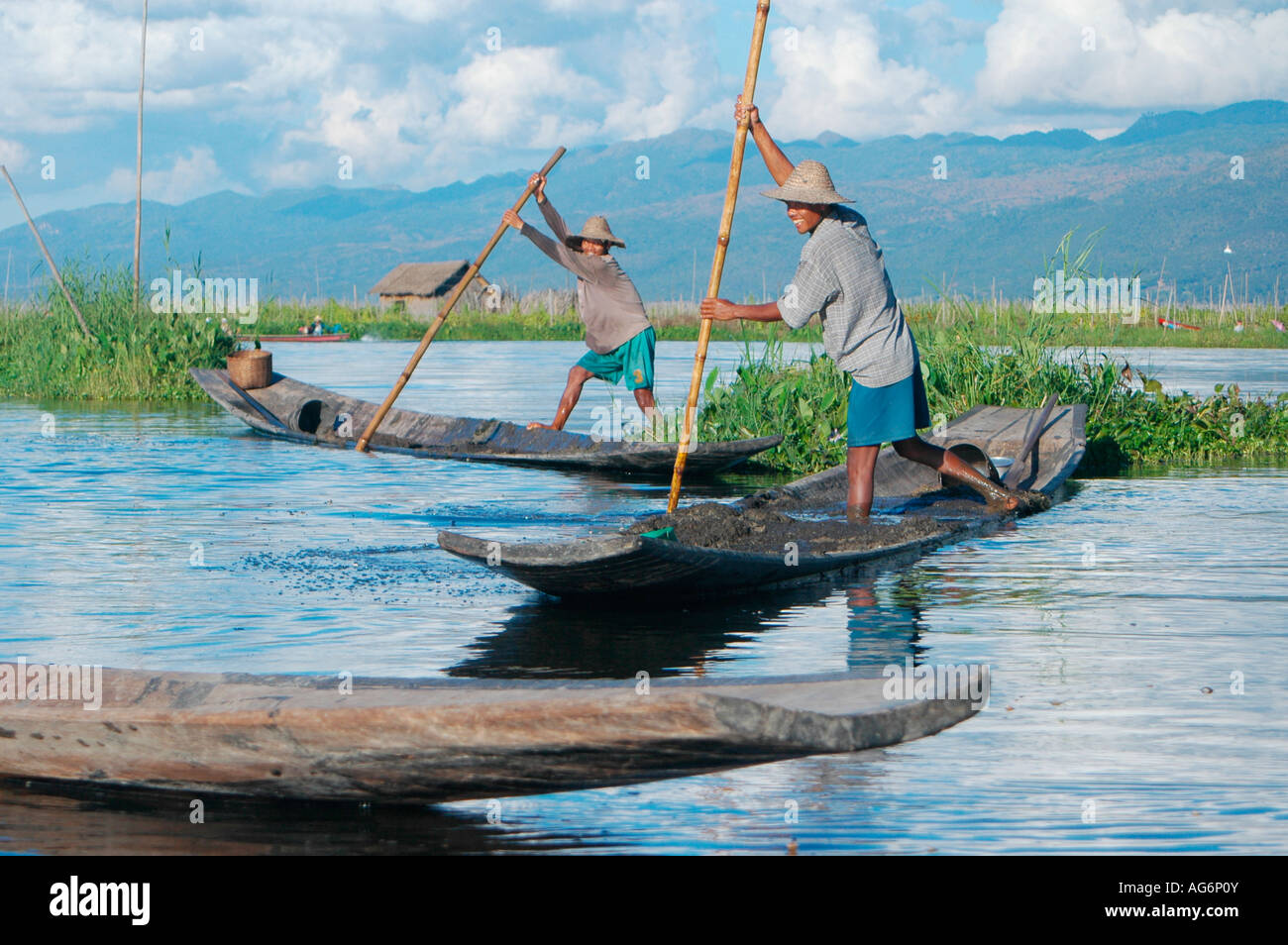 Farmers collect mud soil from sampan boat on Inle lake in Myanmar Burma ...