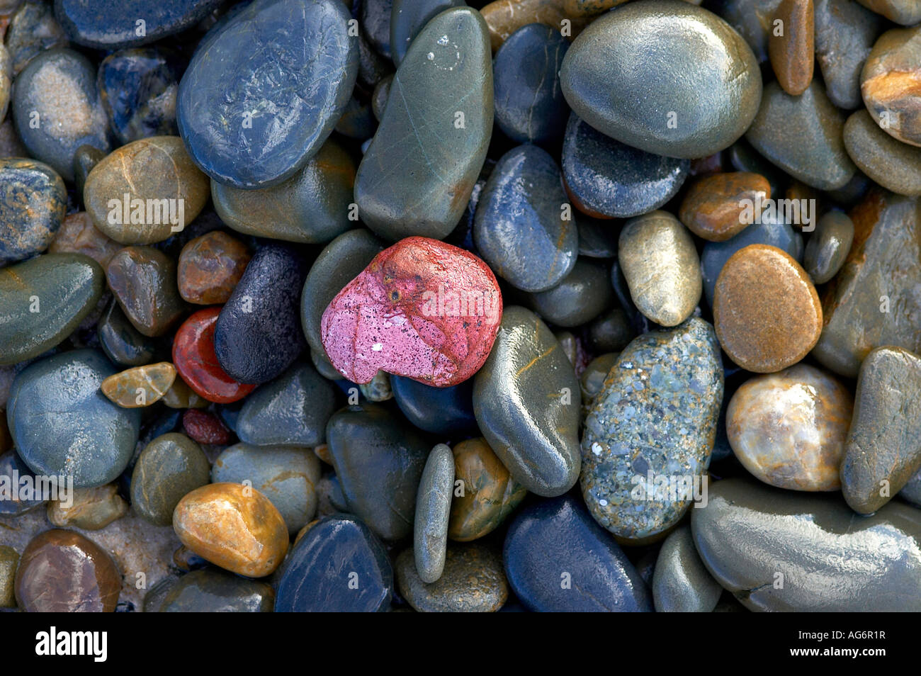 Pebbles on beach closeup Stock Photo - Alamy