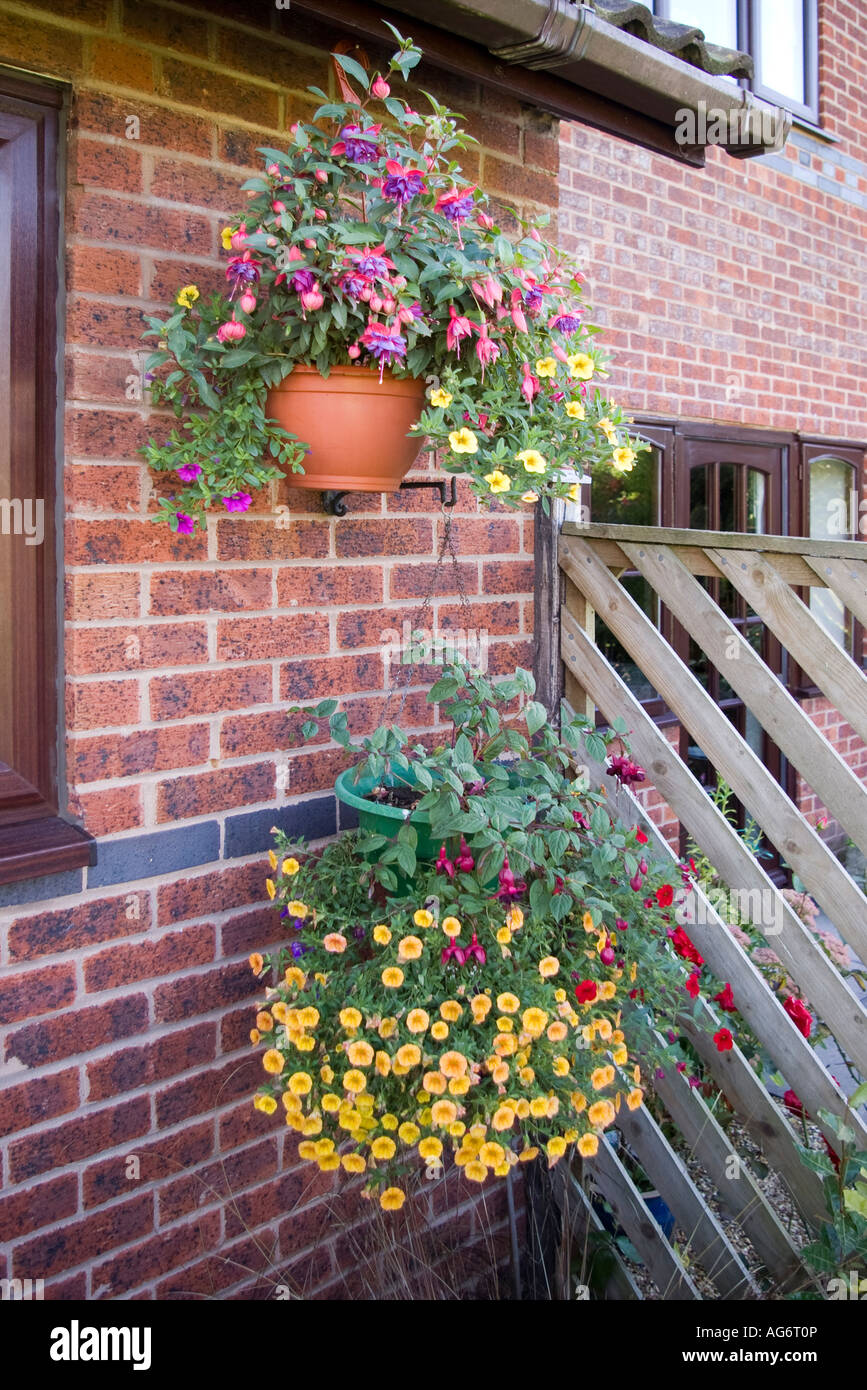Hanging basket wall hi-res stock photography and images - Alamy