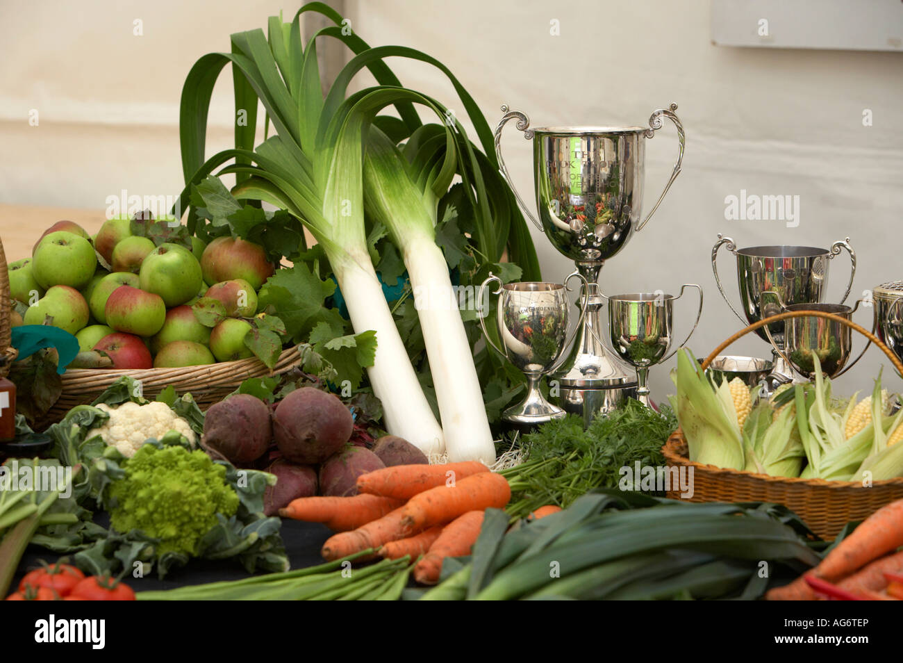 prize winning vegetables and trophies on display in a tent during a ...