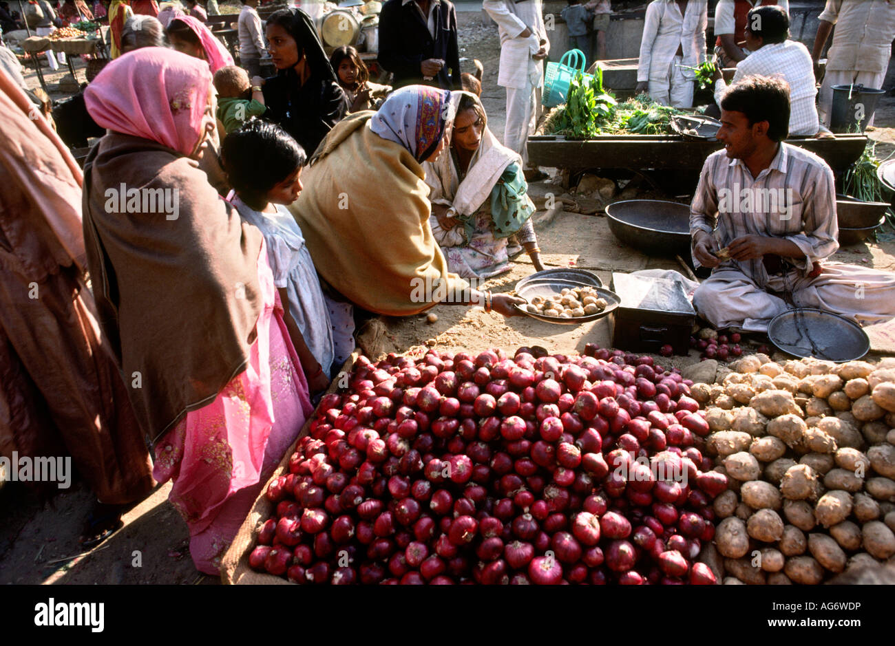 Vegetable seller jaipur hi-res stock photography and images - Alamy