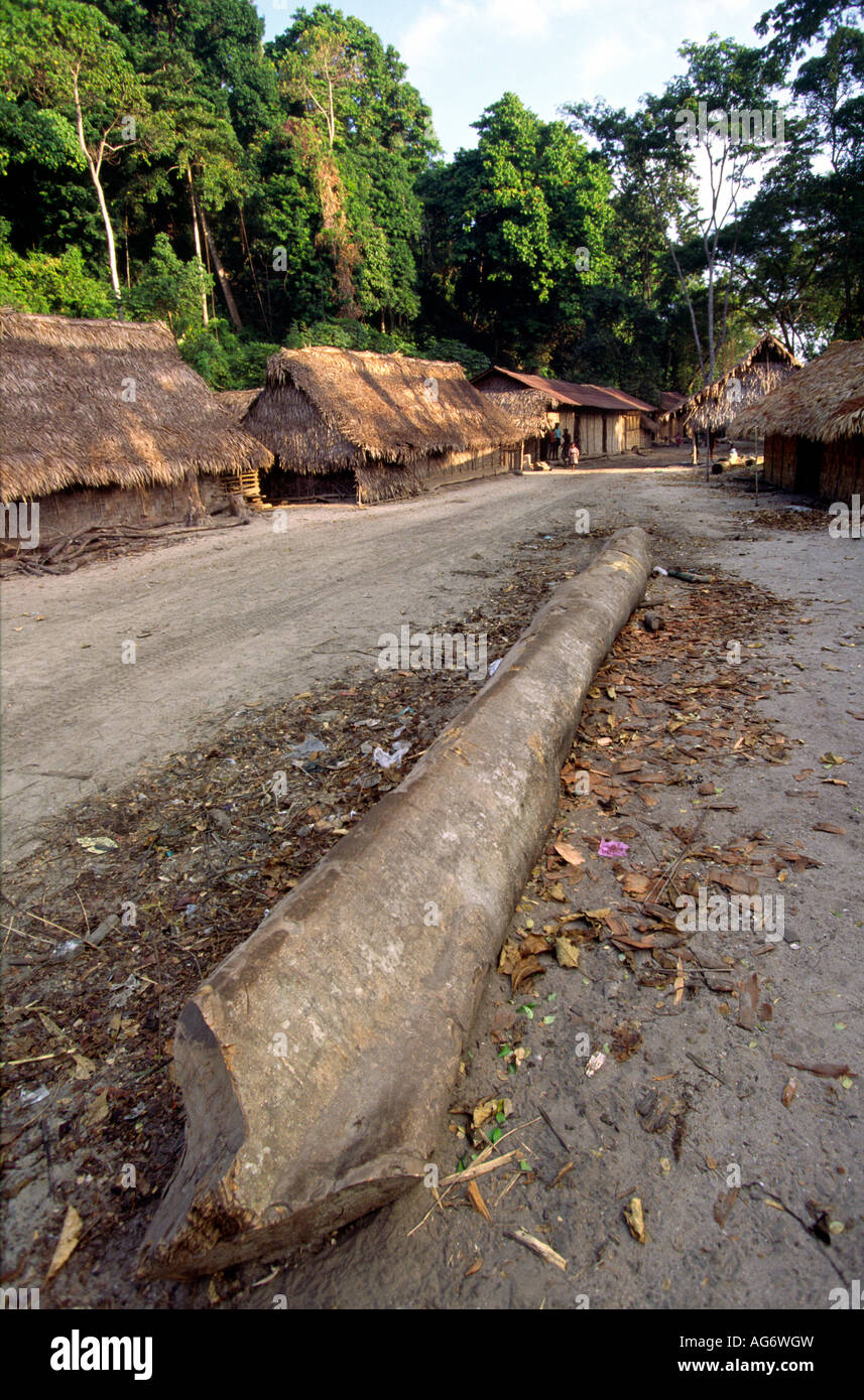 Timber extraction hi-res stock photography and images - Alamy