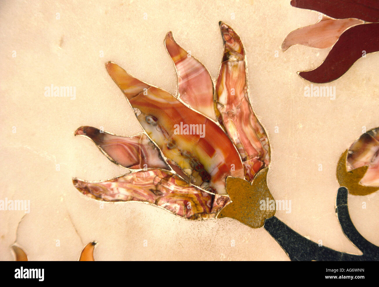 India Uttar Pradesh Agra Taj Mahal detail of pietra dura inlay Stock ...