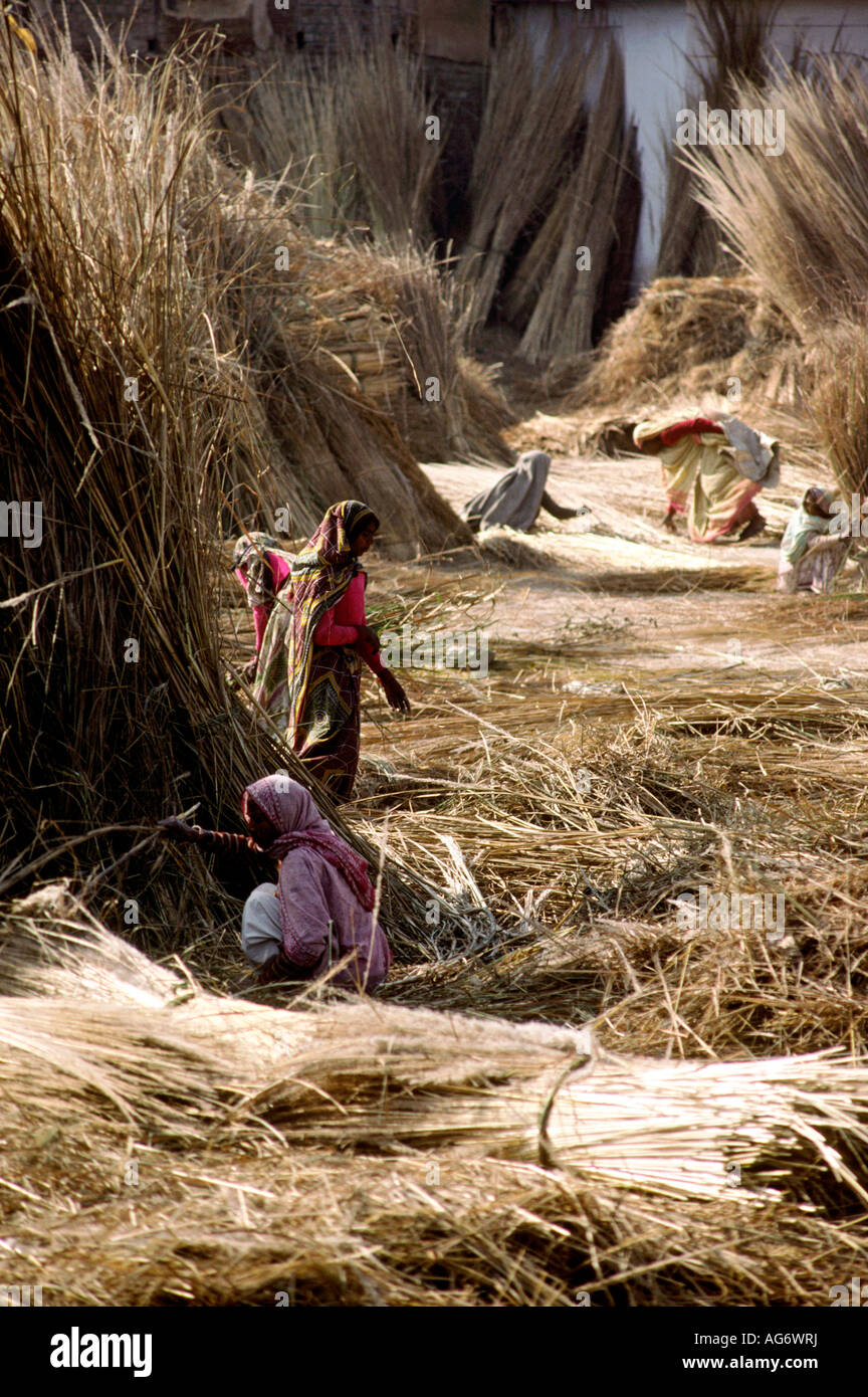 Sorting piles hi-res stock photography and images - Alamy