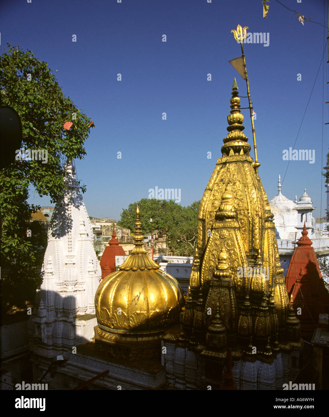 Vishwanath hindu temple hi-res stock photography and images - Alamy
