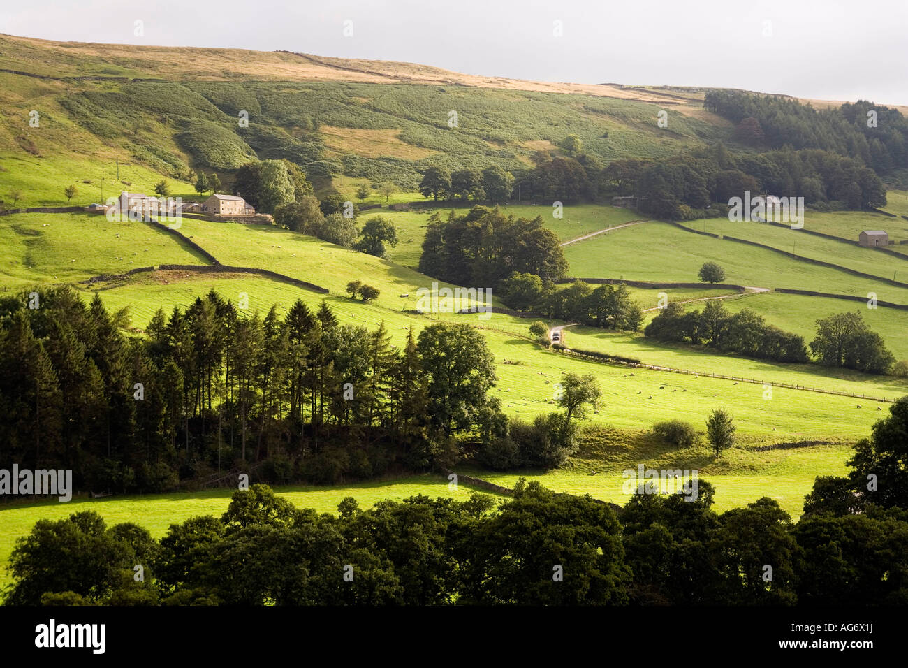 UK Yorkshire Upper Nidderdale shaft of sunlight falling on isolated ...