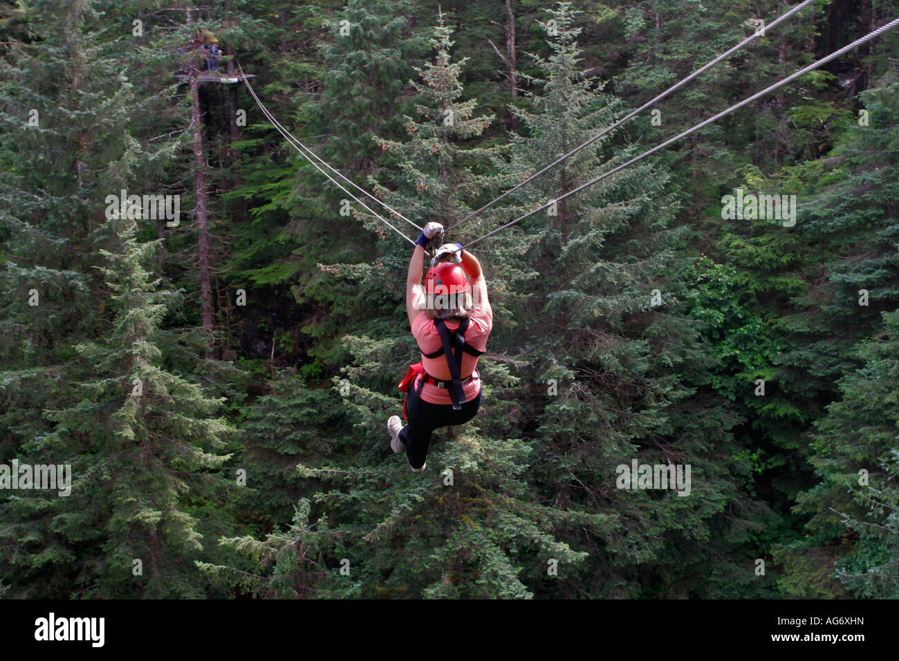Zip line tour Juneau Alaska Stock Photo - Alamy