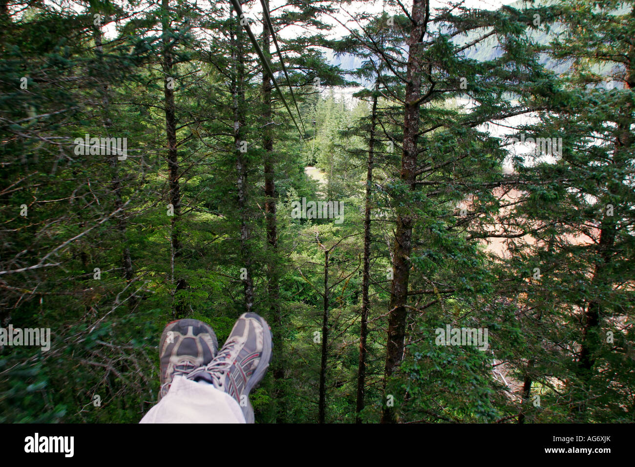 Juneau ziplining