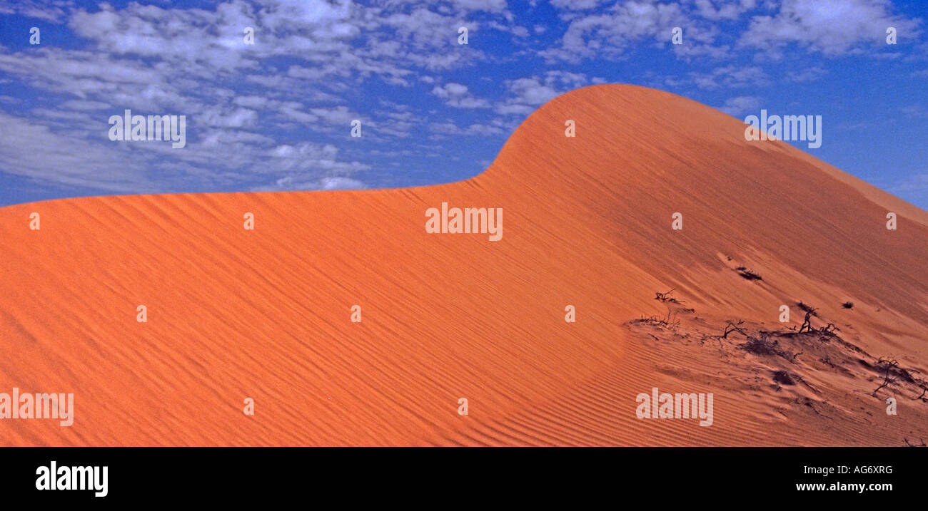 A Sand Dune In The Ash-Sharqiyah Sands (Also Known As Wahiba Sands ...