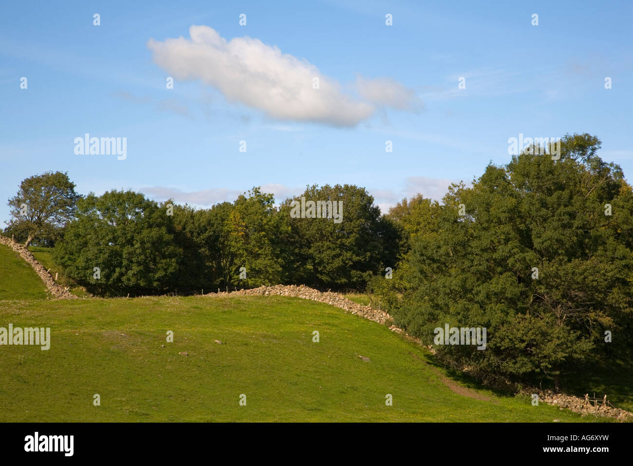 Sweden skane hi-res stock photography and images - Alamy