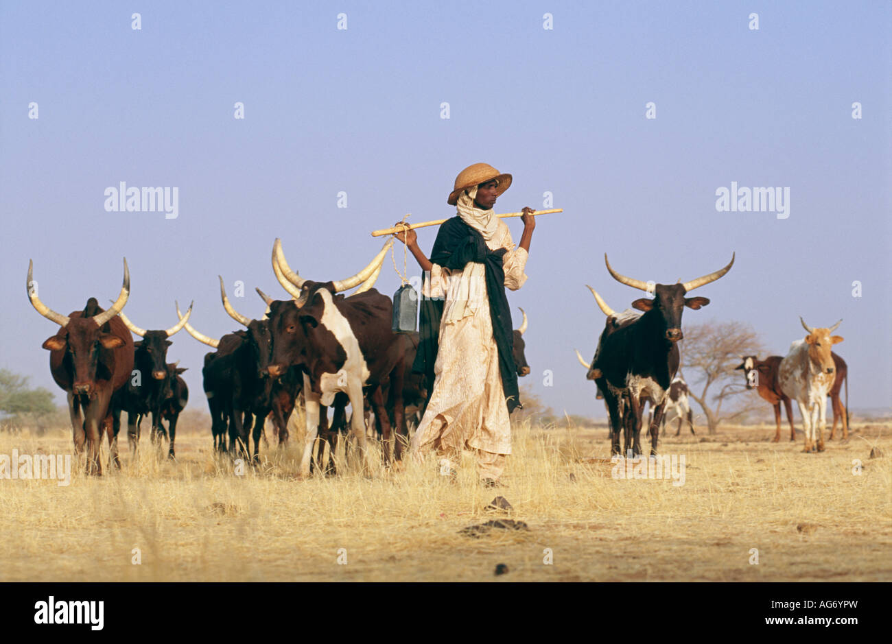 Traditional man in niger hi-res stock photography and images - Alamy