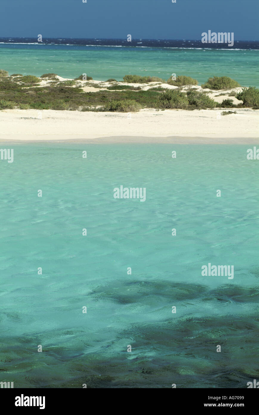 Egypt Red Sea Siyul Island Transparent Crystal Water On A Coral Reef ...