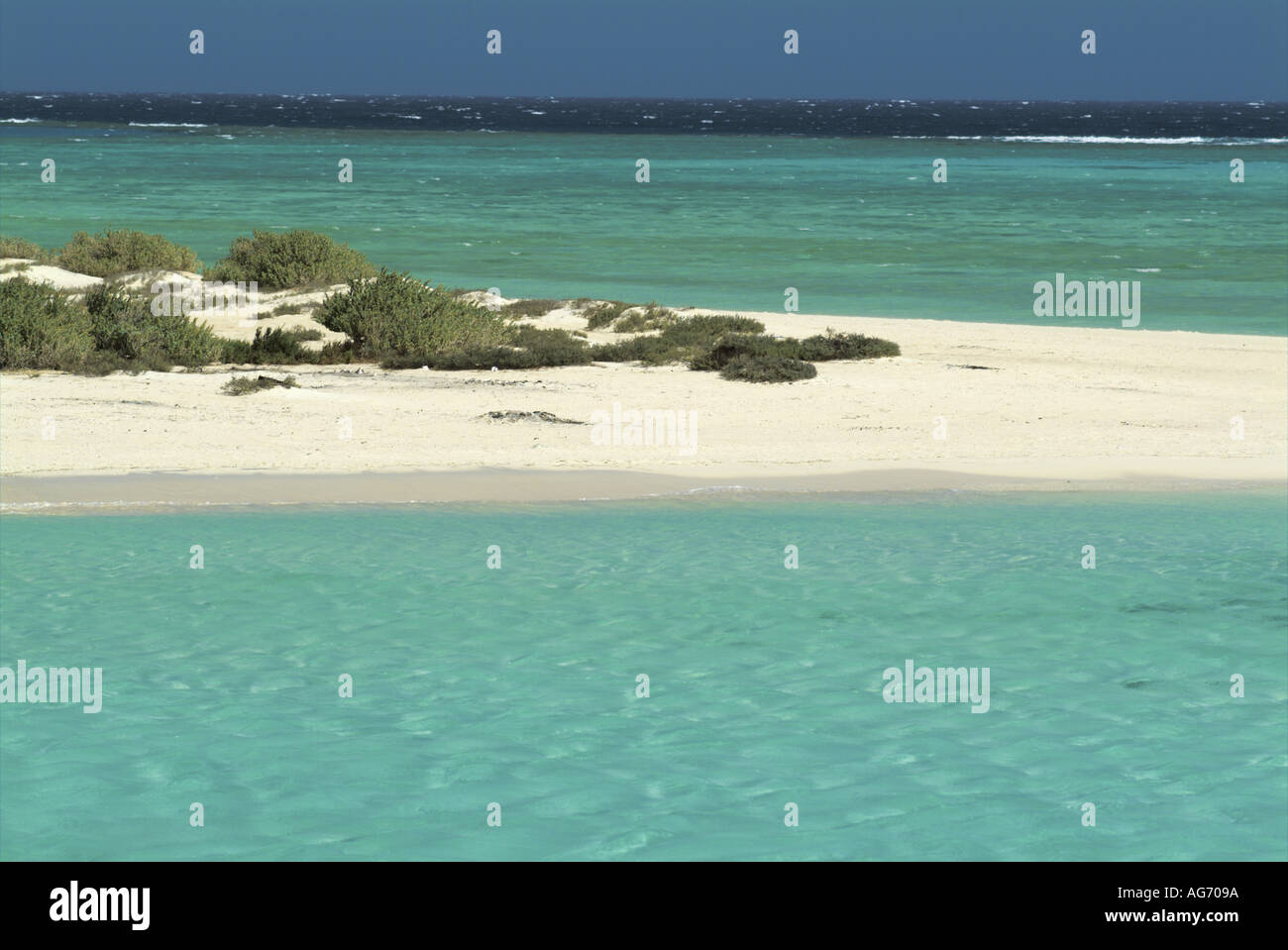 Egypt Red Sea Siyul Island Transparent Crystal Water On A Coral Reef ...