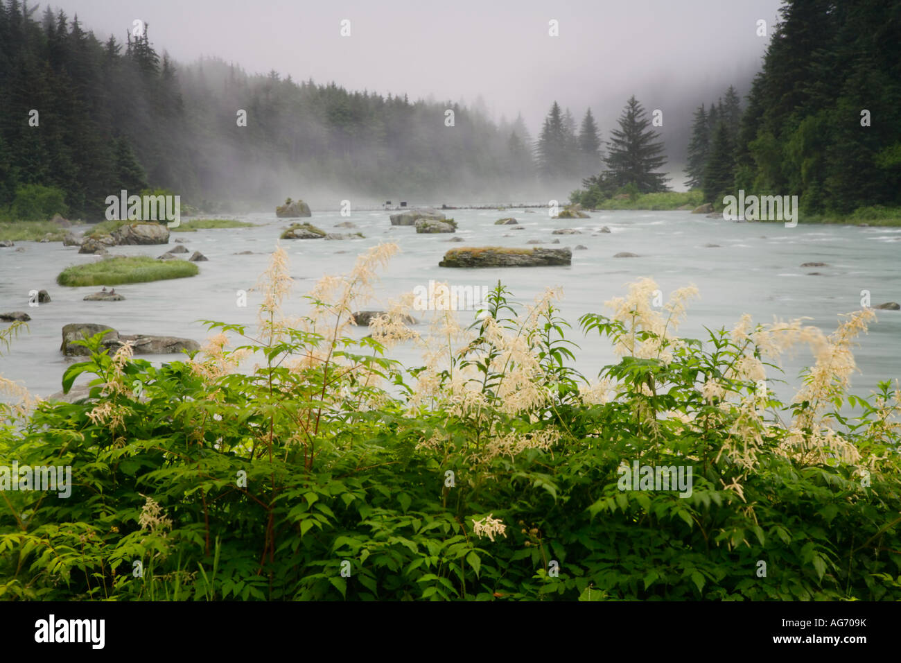 Chilkoot River Haines Alaska Stock Photo - Alamy