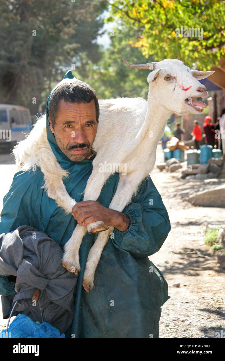 What Is Halal Goat at Charmaine Eder blog