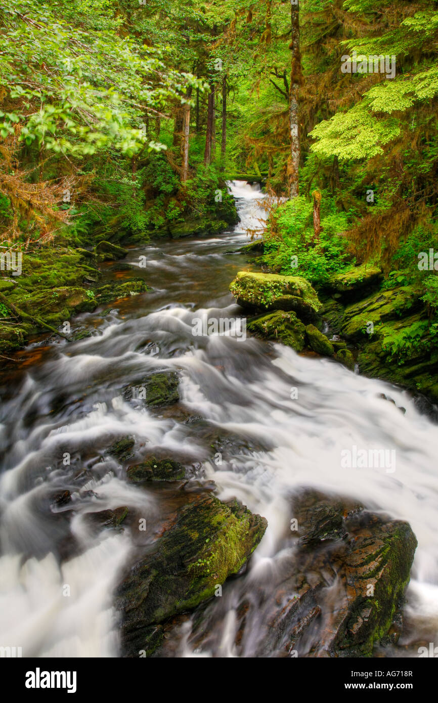 Lower Lunch Falls Loop Trail Tongass National Forest Ketchikan Alaska ...