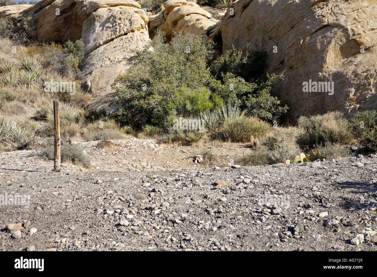 An agave roasting pit along the Calico Tanks Trail Red Rock Canyon Las ...