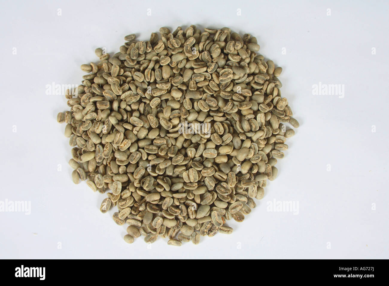 Maragogype coffee beans hi-res stock photography and images - Alamy