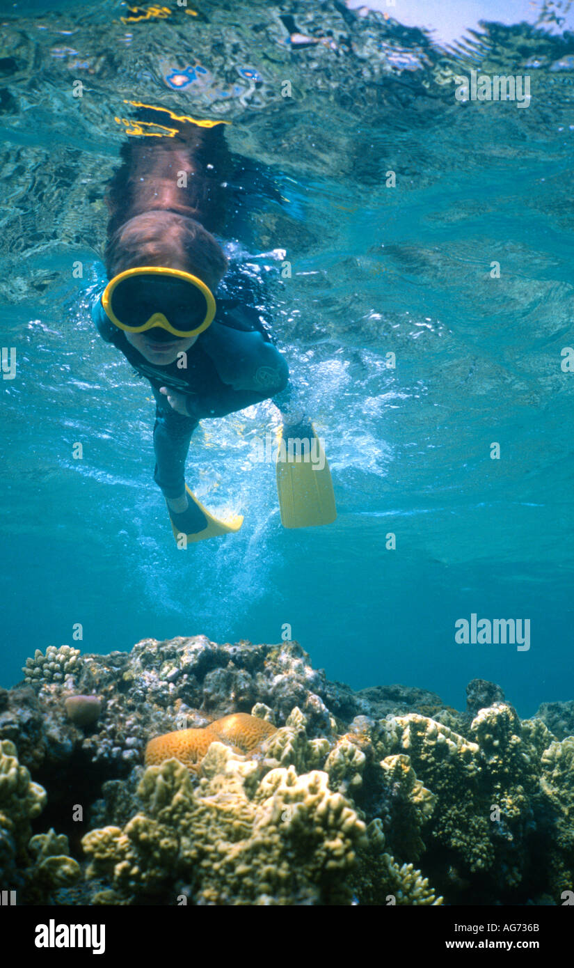 Boy age 8 years snorkelling over a coral reef Lighthouse Reef Dahab ...
