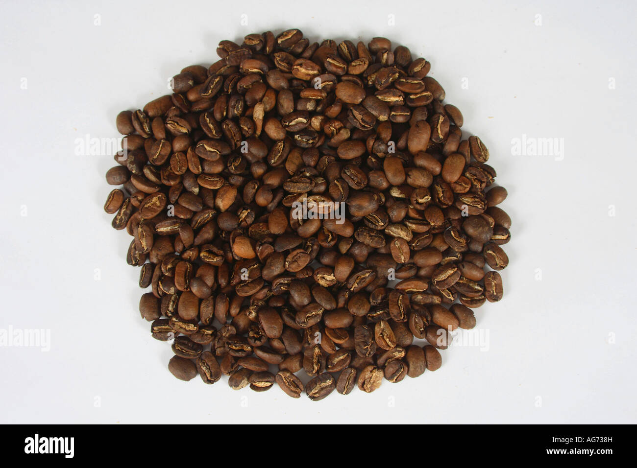 Maragogype hi-res stock photography and images - Alamy