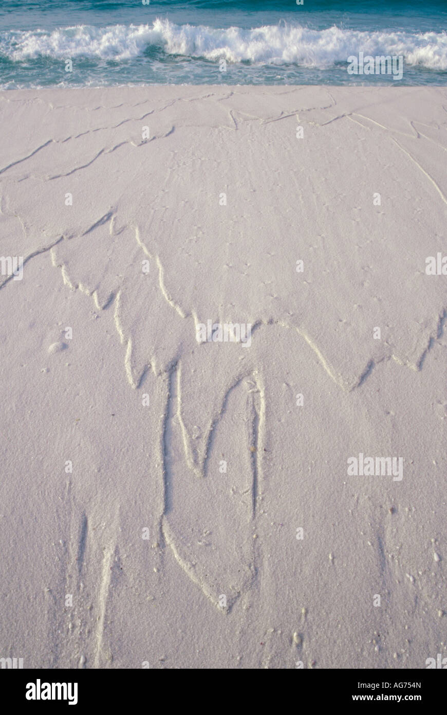 wave tracks on beach Stock Photo - Alamy