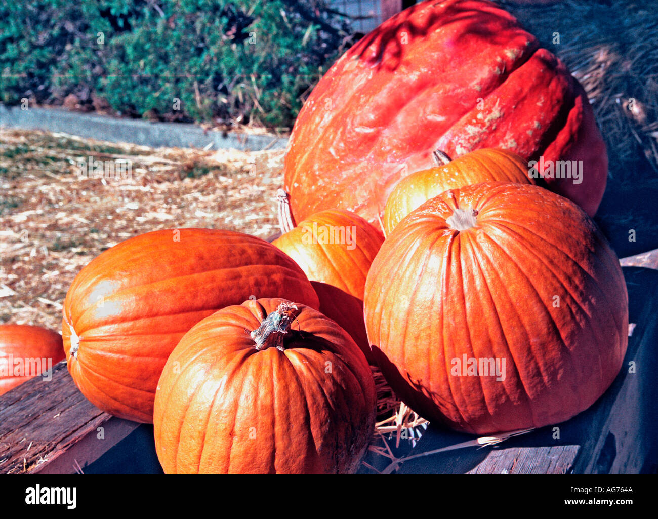 Curbis hi-res stock photography and images - Alamy