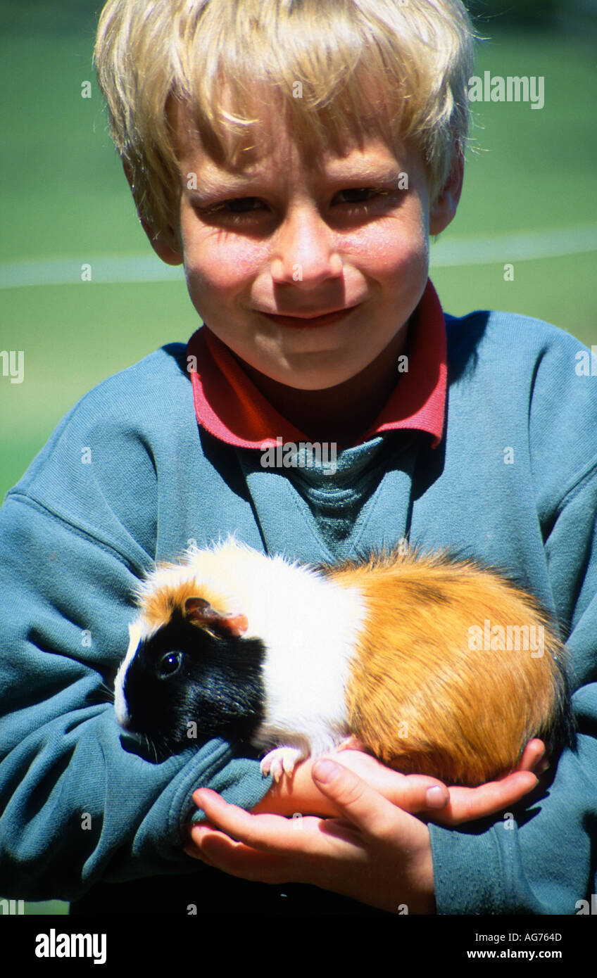 Guinea pig for kids hi-res stock photography and images - Alamy