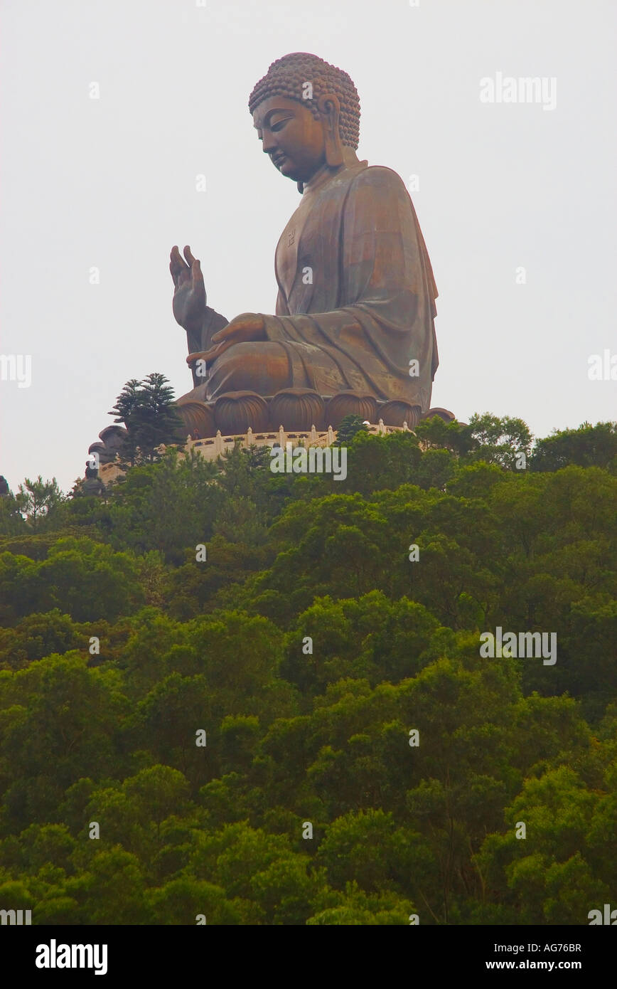 Po Lin Monastery Hong Kong Big Buddha Trees and the Big Buddha Stock ...