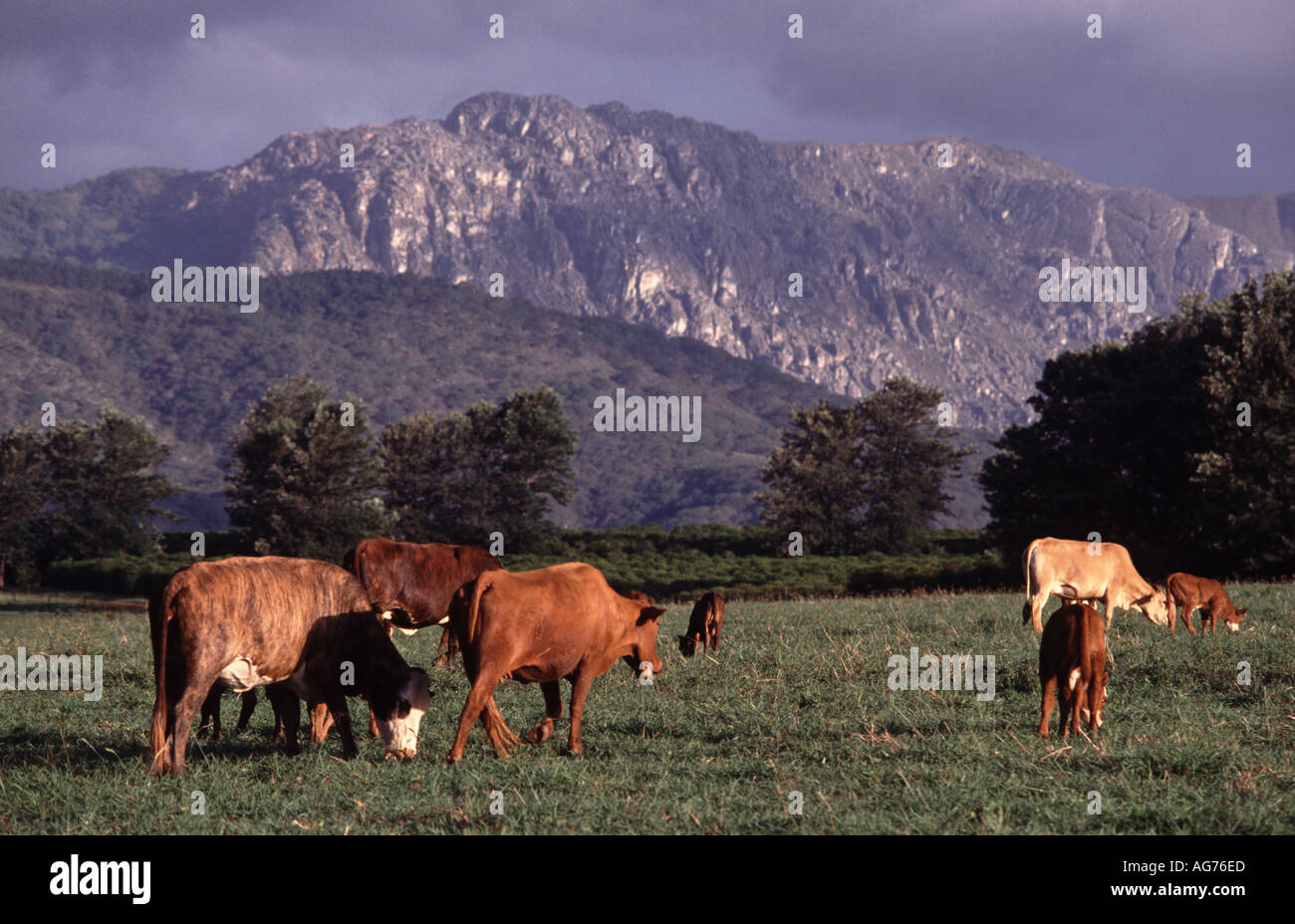 Chimanimani national park hi-res stock photography and images - Alamy