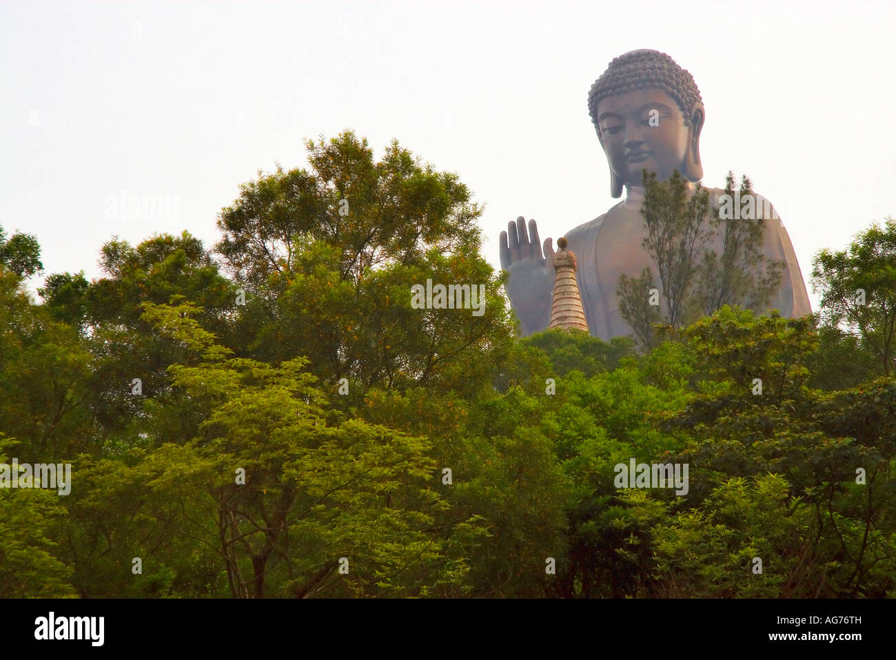 Po Lin Monastery Hong Kong Big Buddha Trees and the Big Buddha Stock ...
