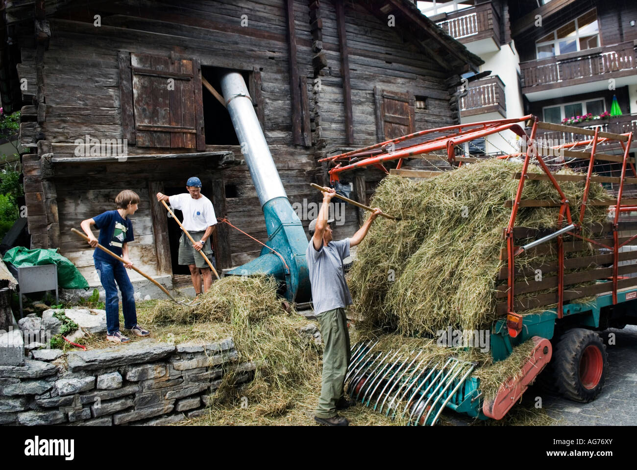 Farmers loading hay into a traditional farm building in the town of ...