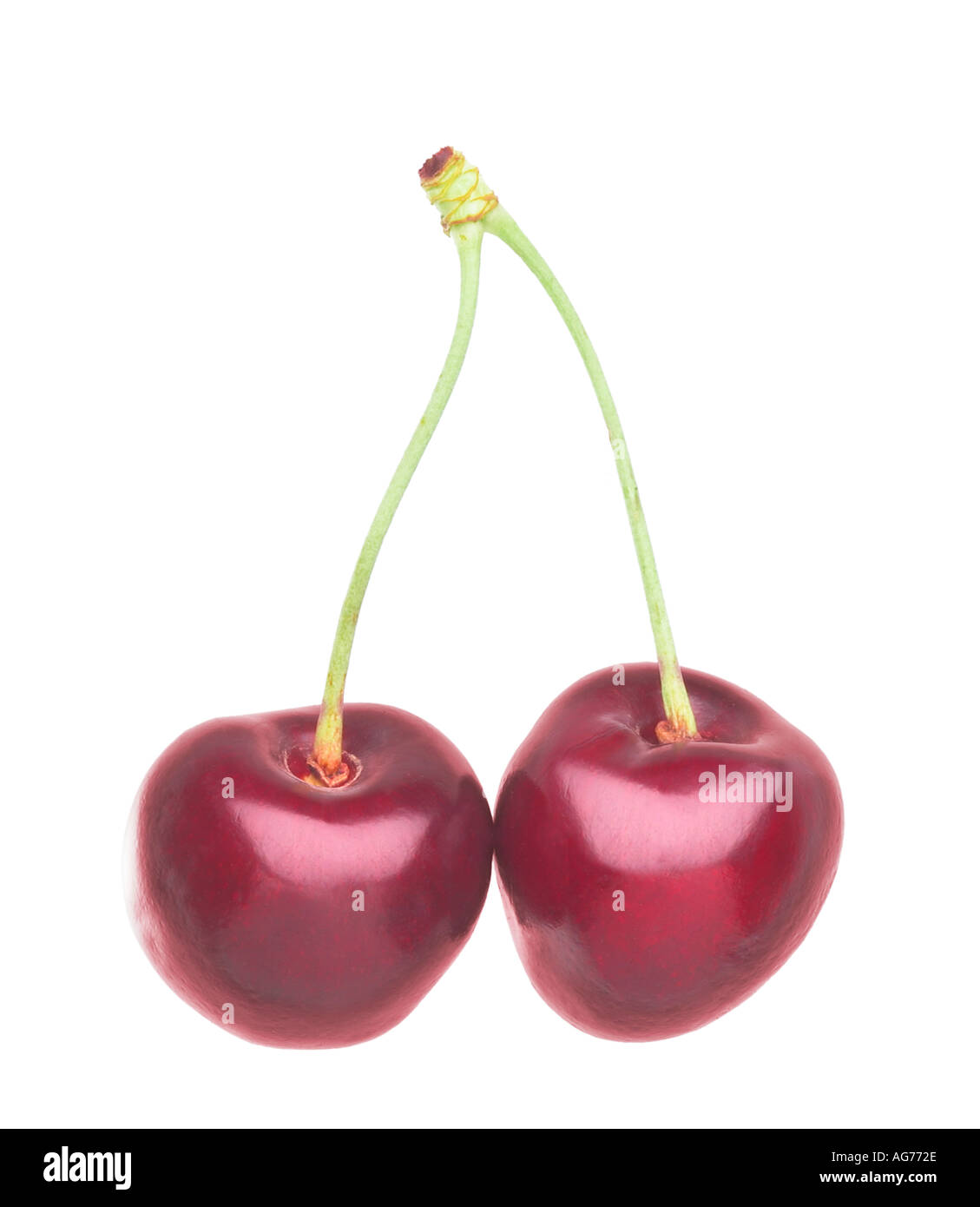 two cherries on stalks Stock Photo - Alamy