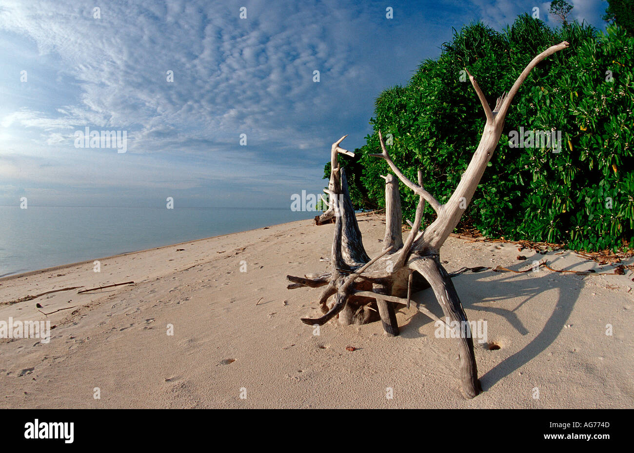 Malaysia lankayan island hi-res stock photography and images - Alamy