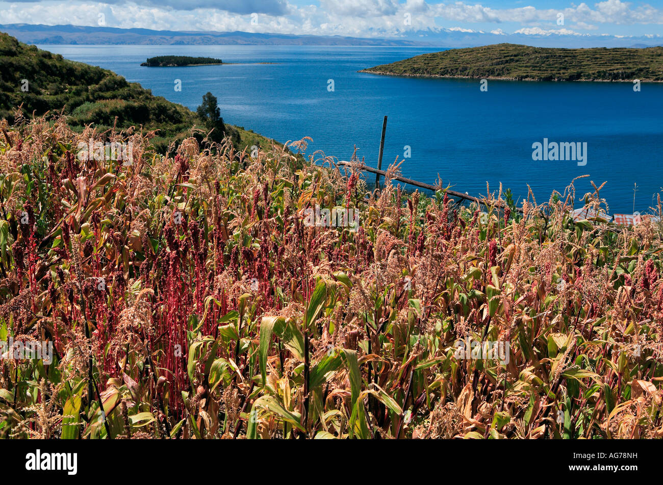 Isla del Sol Island of the sun believed to be the birthplace of the sun ...