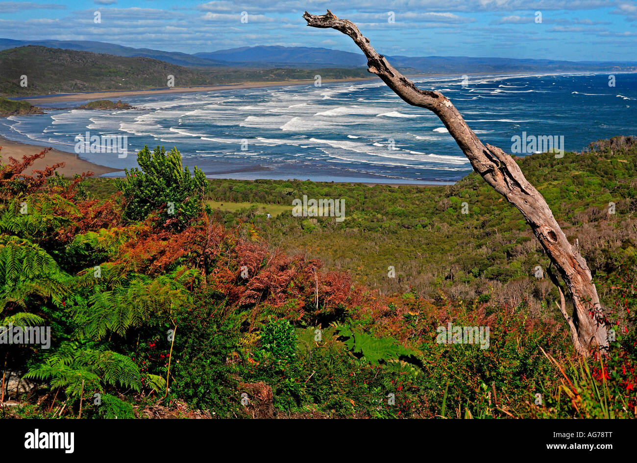 Parque chiloe hi-res stock photography and images - Alamy