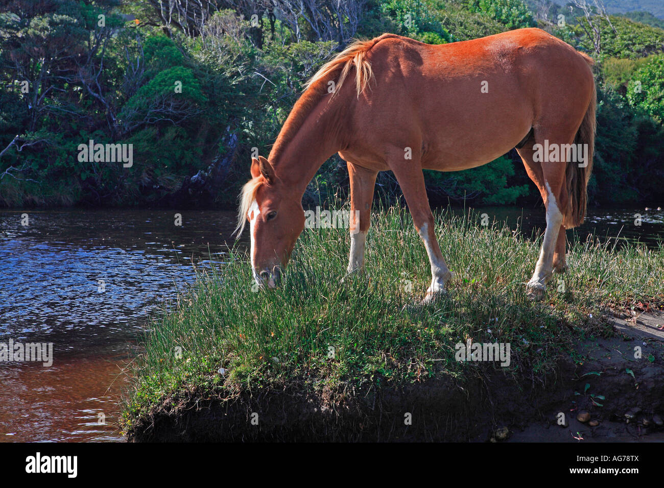 América insular hi-res stock photography and images - Alamy