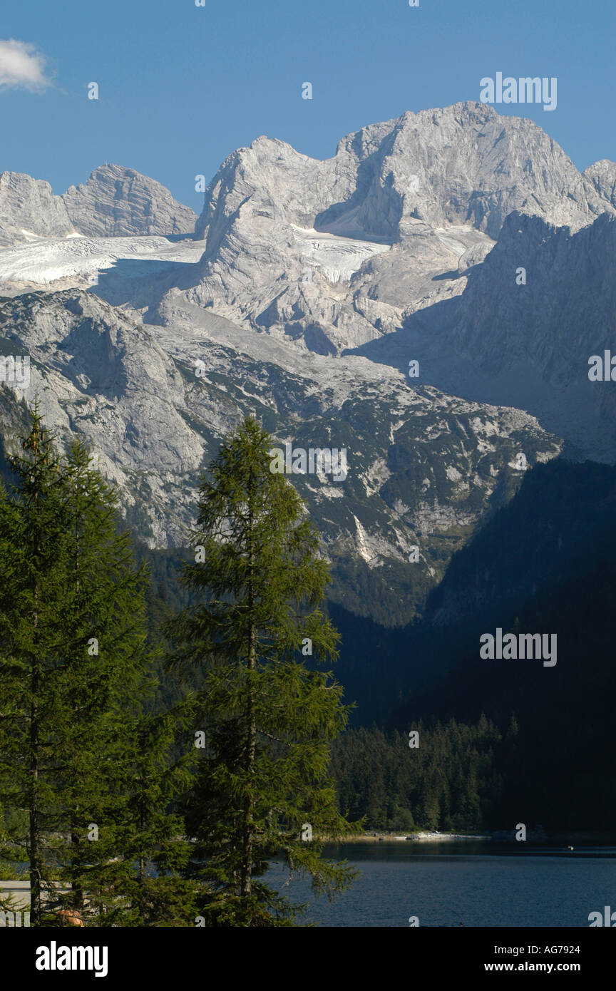 Dachstein, glacier, Gosauersee lake, trees Stock Photo - Alamy
