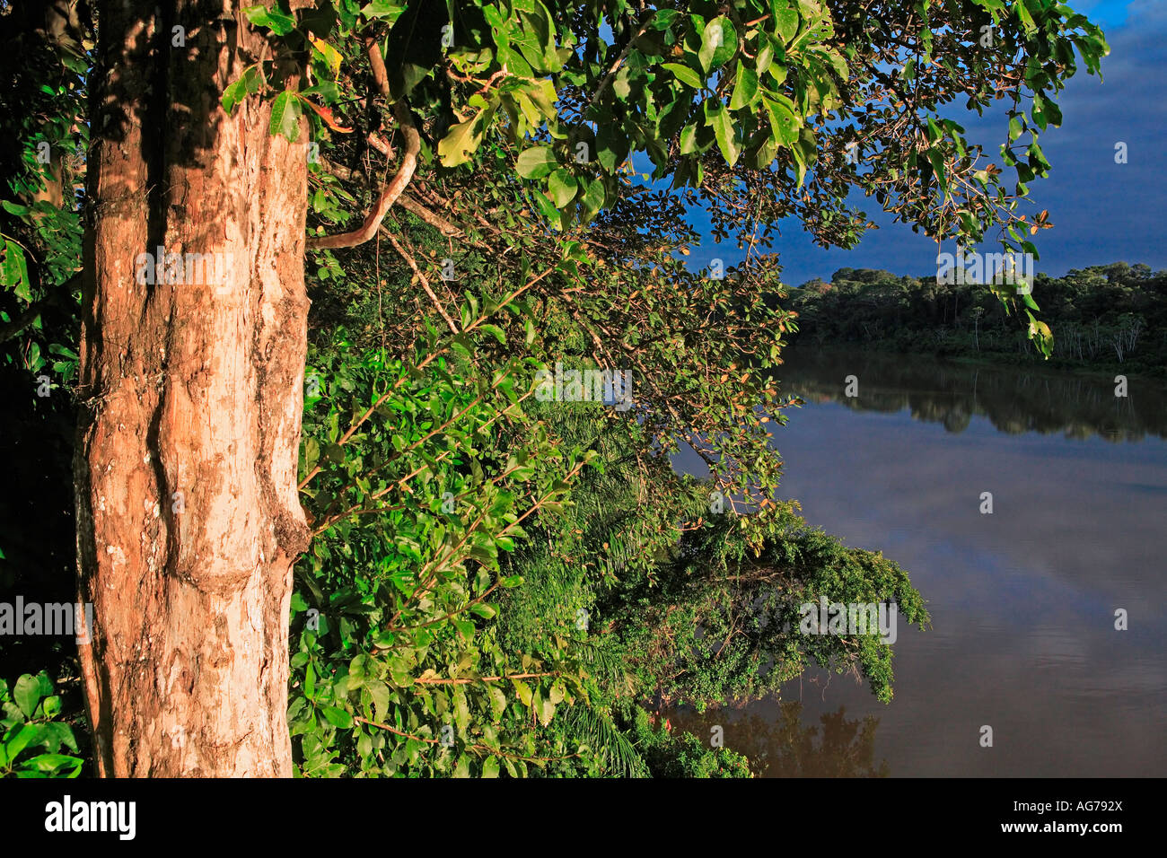 Otorongo lake hi-res stock photography and images - Alamy