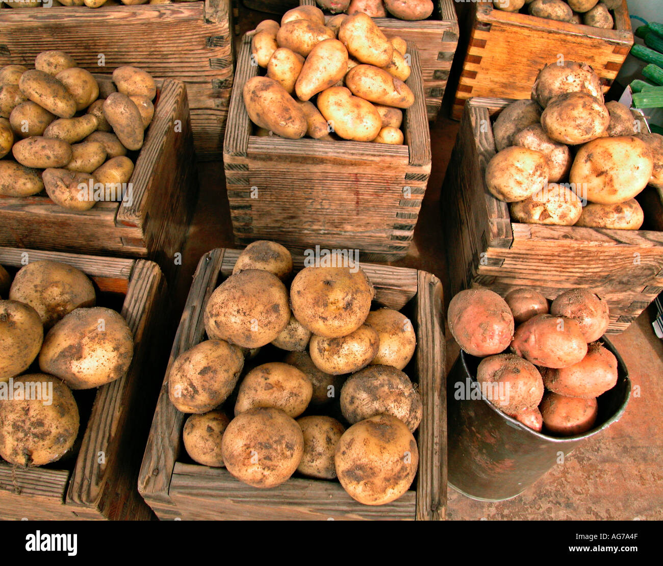 potatoes in measure boxes at a market stall Stock Photo - Alamy