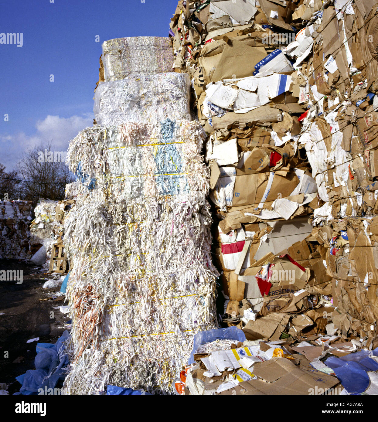 waste paper befor recycling Stock Photo - Alamy