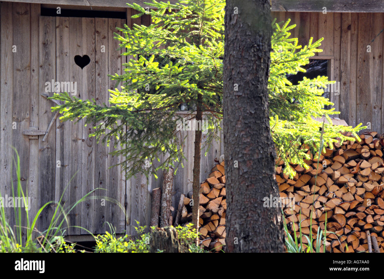 toilet cabin in the nature Stock Photo - Alamy